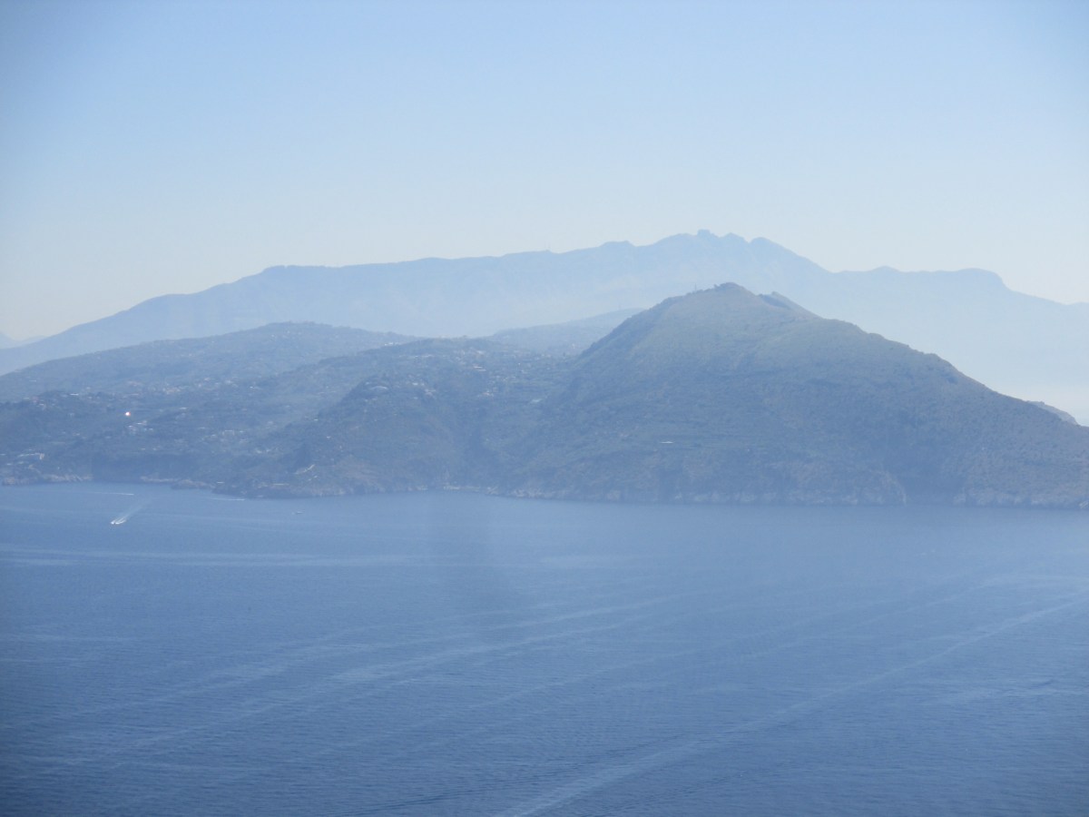 More About Me – Angelica Florio